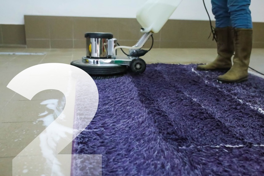 Expert Carpet Cleaning for Multifamily Properties | Blue Titan
